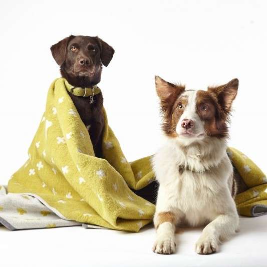 Dog´s Deli | Decken | Schlafen | lucka.dog