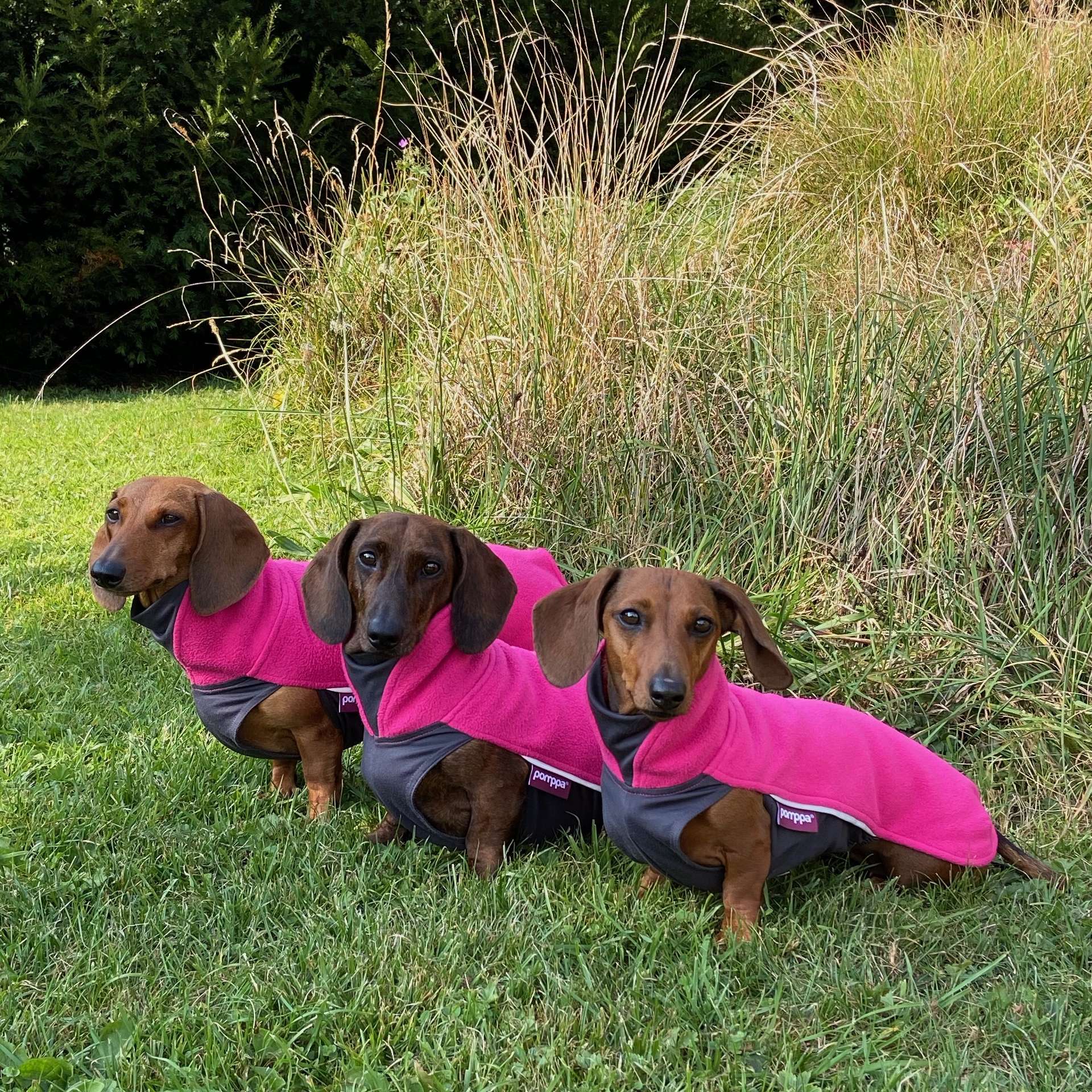 Hundepullover JumppaPomppa pink limited edition | lucka.dog