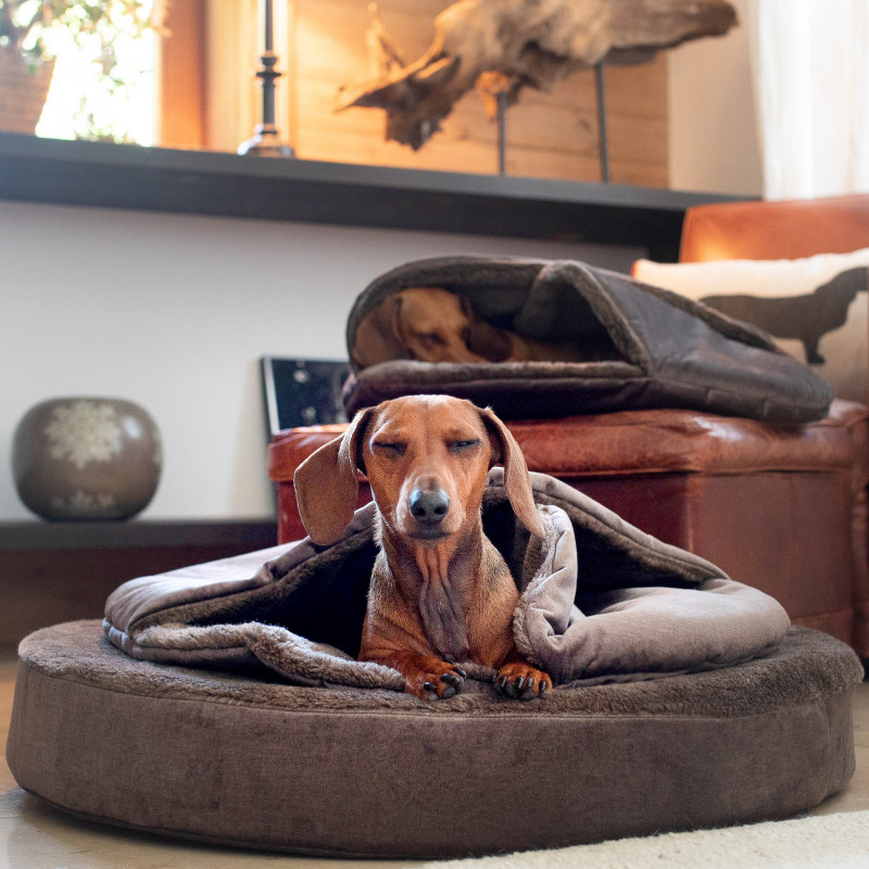 Macarons | Schlafsäcke | Schlafen | lucka.dog