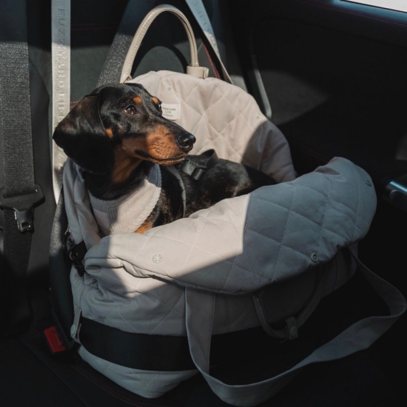 car seat | lucka.dog