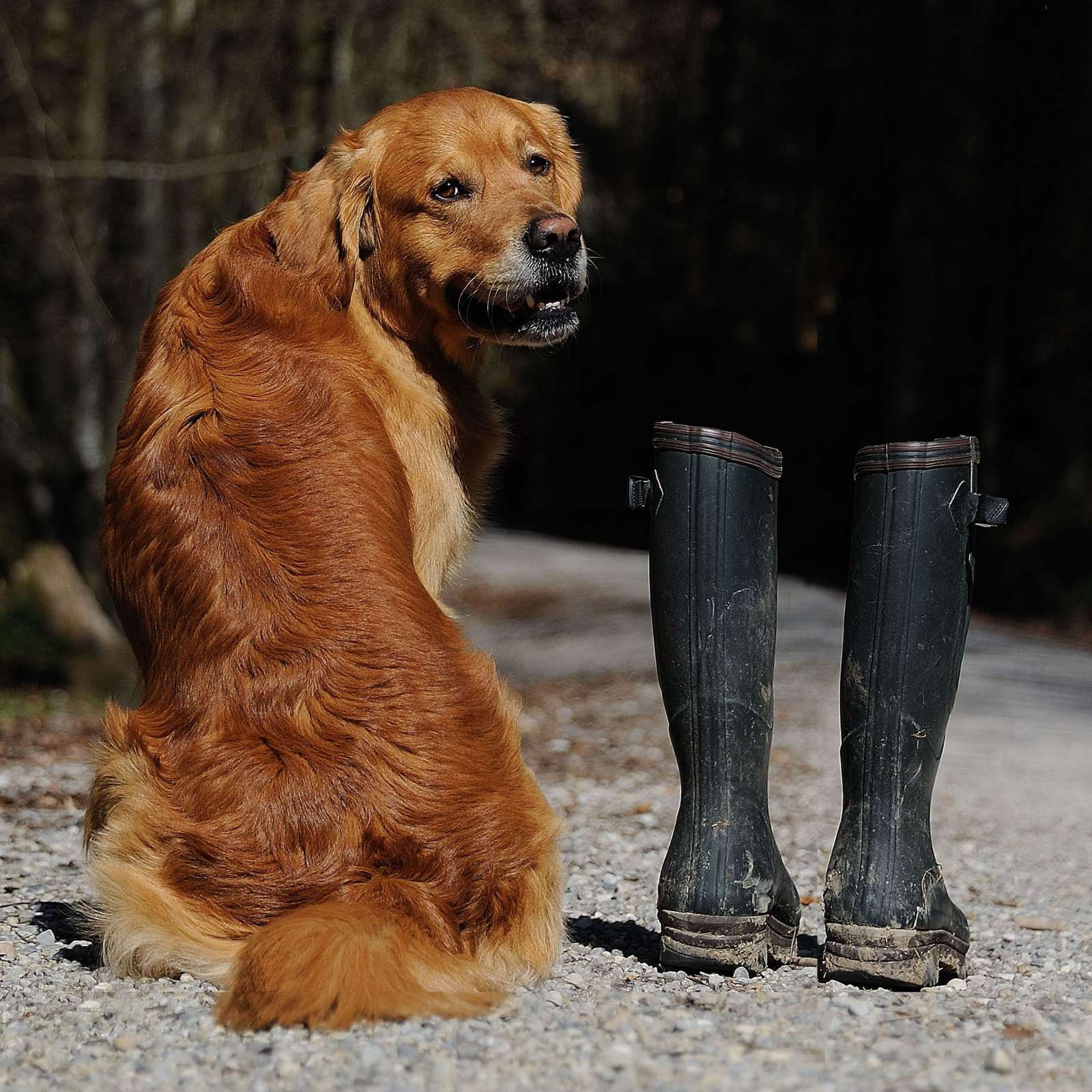 Unterwegs | lucka.dog