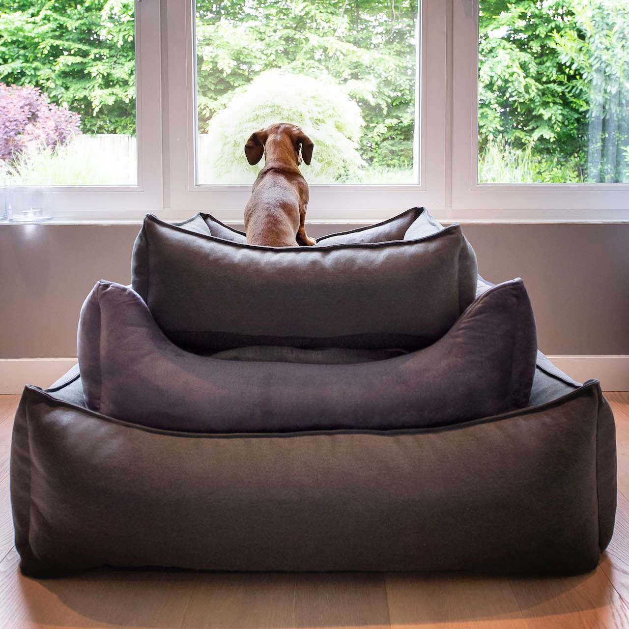 Wo Hunde bequem und gesund schlafen | lucka.dog